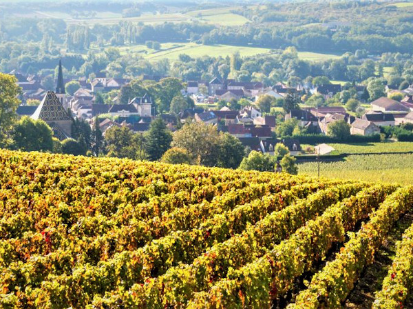 Borgogna - Percorsi medievali in Francia - Flumen